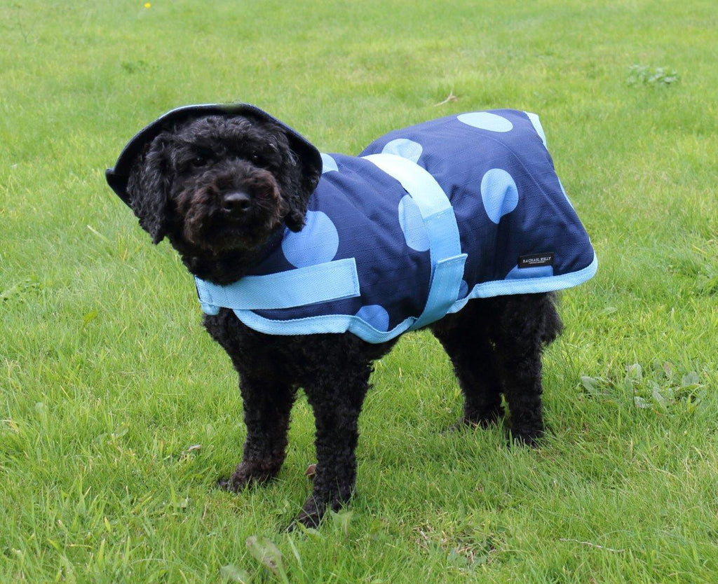 END OF LINE OFFER WAS £25 NOW £15 Blue Spotty Waterproof Dog Coat ...